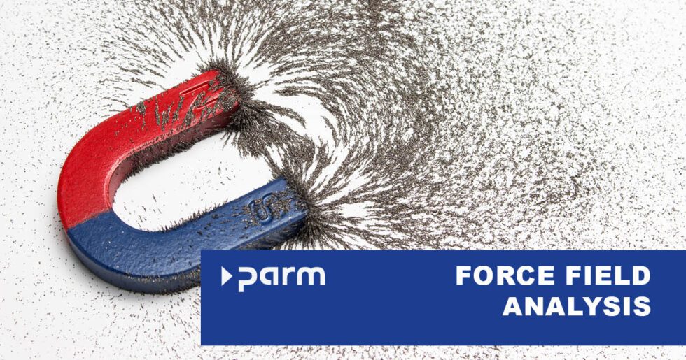Force field analysis in project management | Parm AG